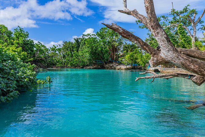 Private Shore Tour: Explore, Discover & Indulge in Port Vila - Key Points