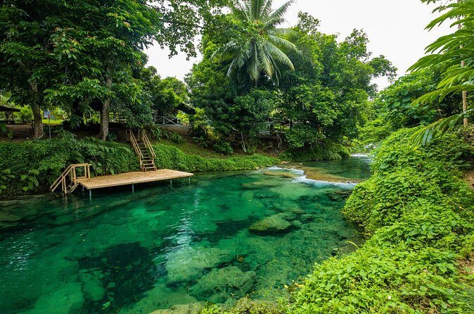 Private Shore Tour: Explore, Discover & Indulge in Port Vila - Who Will Love This Tour?