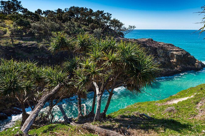 Private Shore Tour: North Stradbroke Island from Brisbane - Practical Tips for Travelers