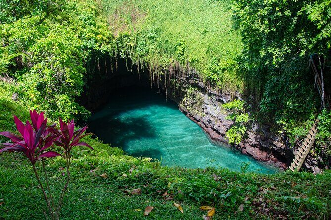 Private Shore Tour Samoa's Natural Wonders Full-Day Trip - Samoa’s Natural Wonders Full-Day Private Shore Tour: An In-Depth Review