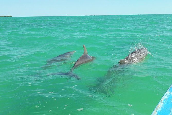 Private Sian Kaan Biosphere Tour - Authentic Insights from Reviewers