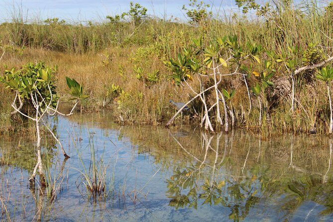 Private Sian Kaan Muyil Lazy River Tour - How Long Does It Take?