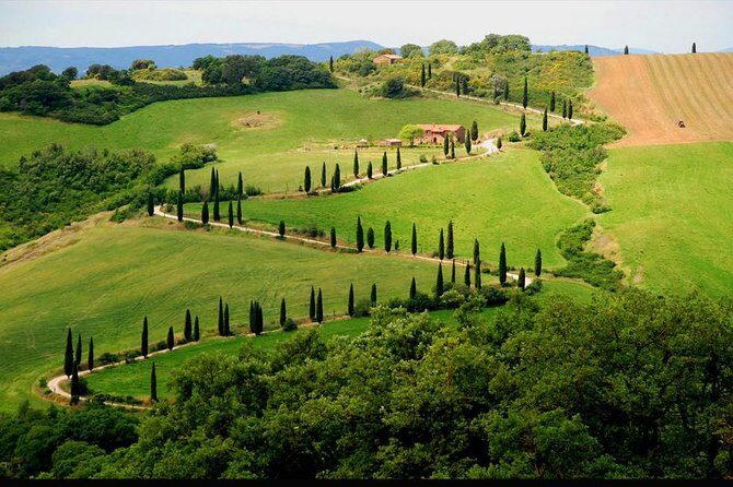 Private Siena and San Gimignano Tour with Wine Tasting From Rome - Who Is This Tour Best For?