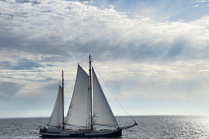 Private sightseeing in a Volvo XC 90 All inclusive museum/guiding - The Sum Up