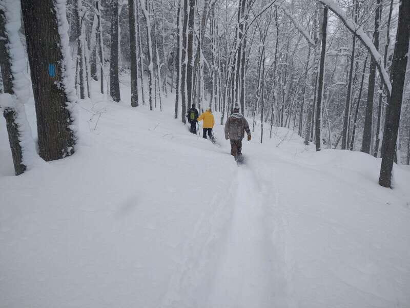 Private Singhampton Caves Snowshoe-Collingwood/Blue Mountain - Who Should Book This Tour?