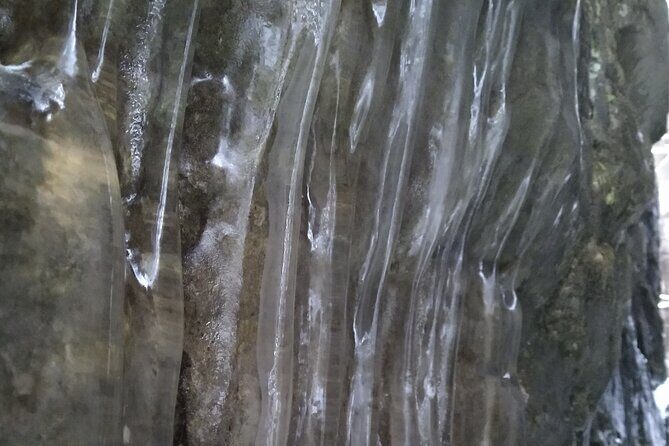 Private Singhampton Caves Snowshoe, Collingwood/Blue Mountain - FAQ: Your Practical Questions Answered