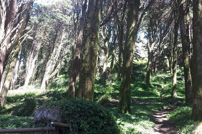 Private Sintra Day Trip from Lisbon with Wine Tasting and Monserrate Palace - FAQ
