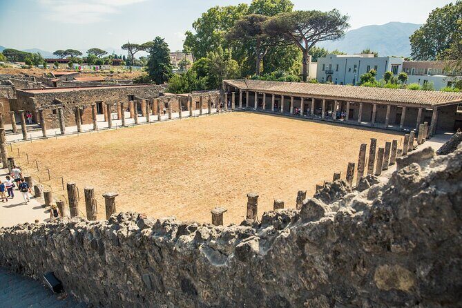 Private Skip-the-line Pompeii & Mt. Vesuvius Tour from Sorrento - Final Thoughts