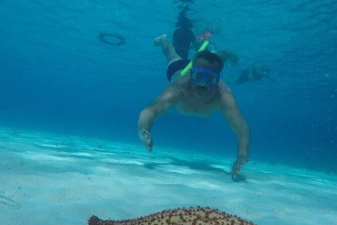 Private Sky Snorkeling Tour - What Reviewers Loved Most