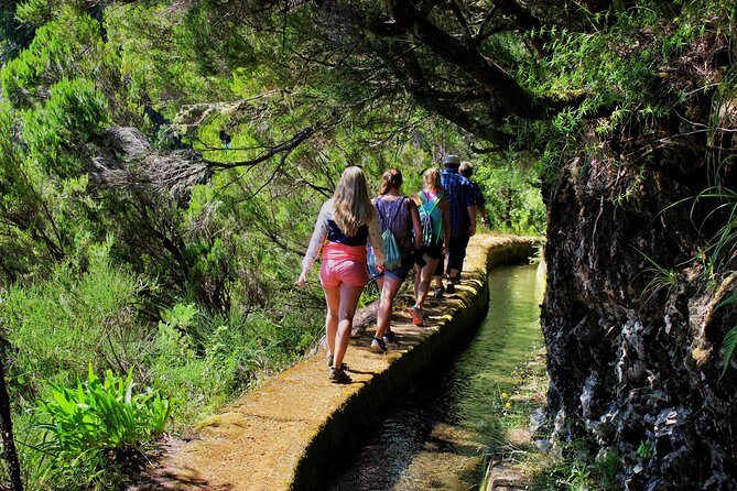 Private Small Group Full Day 4x4 Tour in Northwest Madeira - FAQ