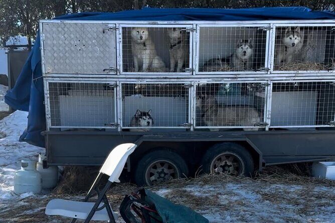 Private Small Group Snow and Ski Tour to Mt Buller - FAQ