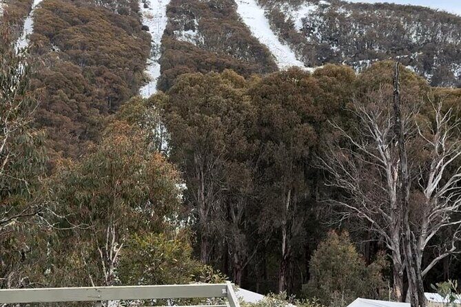 Private Small Group Snow and Ski Tour to Mt Buller - Final Verdict