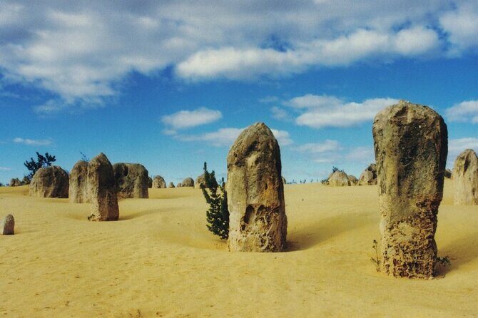 Private Snæfellsnes Peninsula day tour with 6+ Attractions - Full Breakdown of the Snæfellsnes Tour Experience