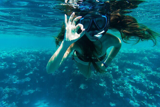 Private Snorkeling Activity in Key Largo - Exploring the Details of the Snorkeling Tour