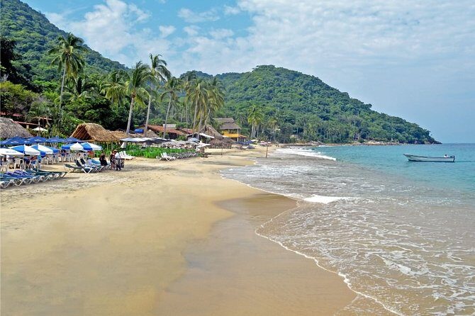 Private Snorkeling Experience and Boat tour to Las Animas Beach - Introduction