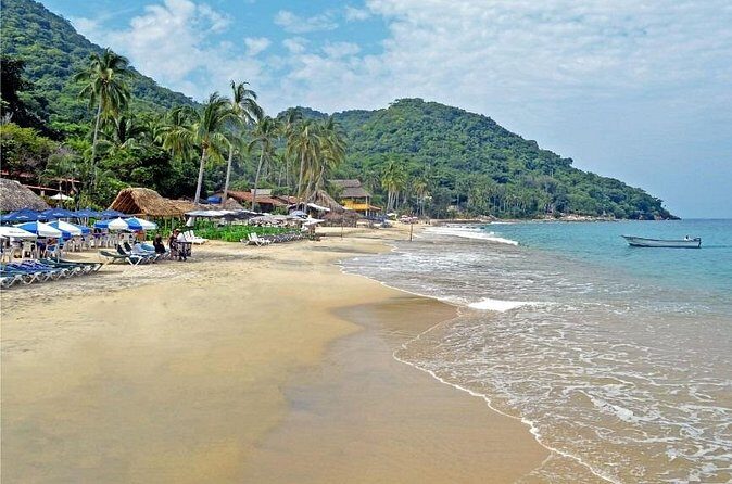 Private Snorkeling Experience and Boat tour to Las Animas Beach - Why This Tour Offers Real Value