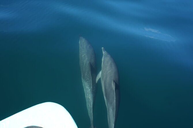 Private Snorkeling Experience in the Coral Islands in Guayabitos - FAQs