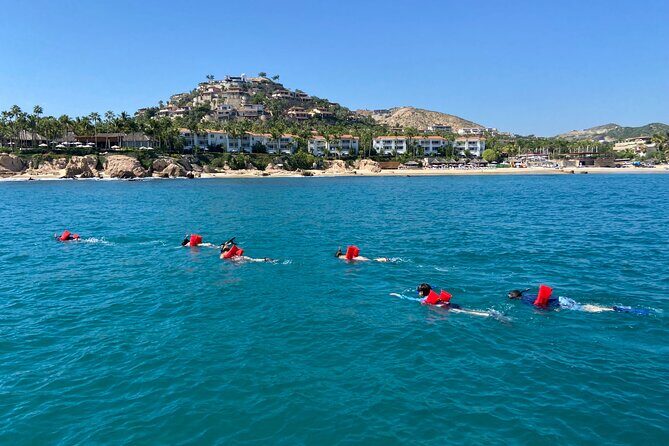 Private Snorkeling In San Jose Del Cabo Lunch, Drinks, Snack - Final Thoughts: Who Will Love This Tour?