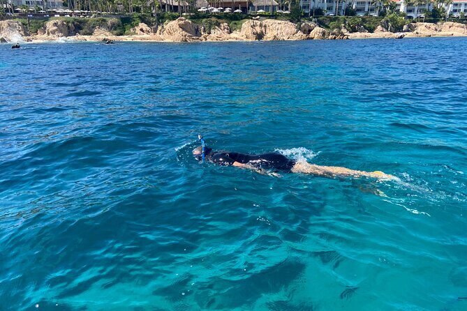 Private Snorkeling In San Jose Del Cabo Lunch, Drinks, Snack - Frequently Asked Questions