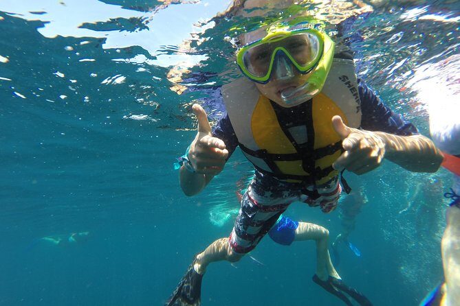 Private Snorkeling Tour in Cabo San Lucas - In-Depth Review of the Private Snorkeling Experience