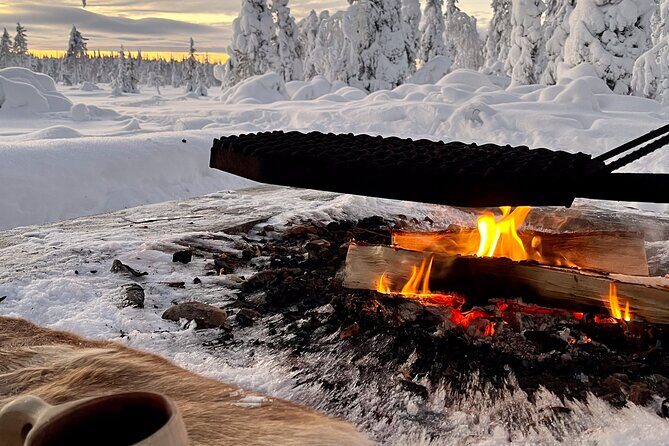 Private snowmobile day tours - Who Will Love This Experience?