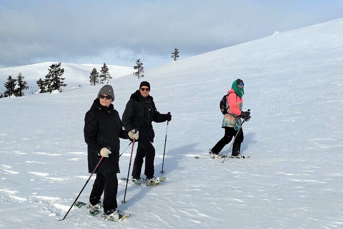 Private Snowshoeing in Levi - Final Thoughts