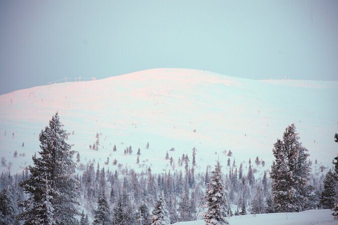 Private: Snowshoeing Safari in spectacular National Park - An In-Depth Look at the Snowshoeing Safari