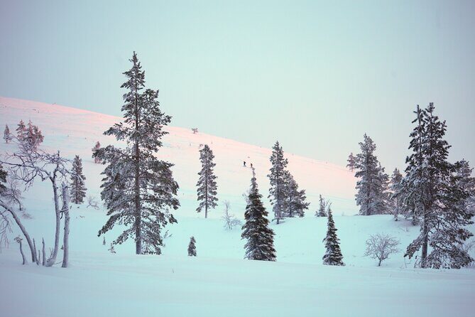 Private: Snowshoeing Safari in spectacular National Park - FAQs