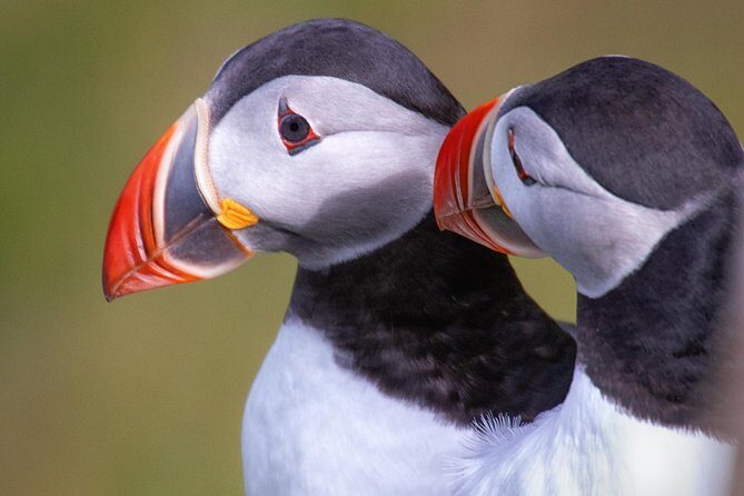 Private South Coast Tour with a Professional Photographer/Guide - Seljalandsfoss: Walking Behind the Waterfall