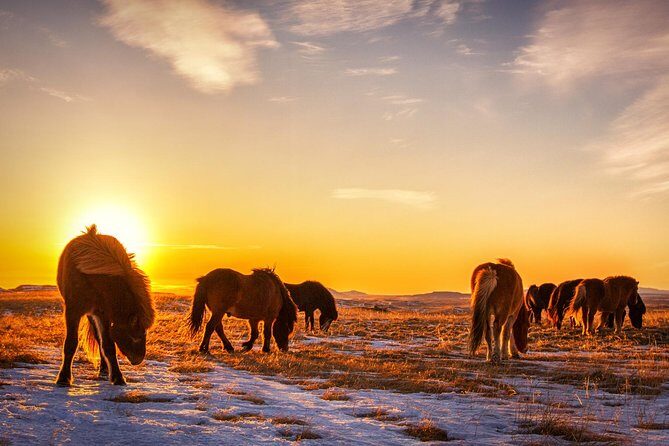Private South Coast Tour with a Professional Photographer/Guide - Vik and Kvernufoss: Hidden Gems