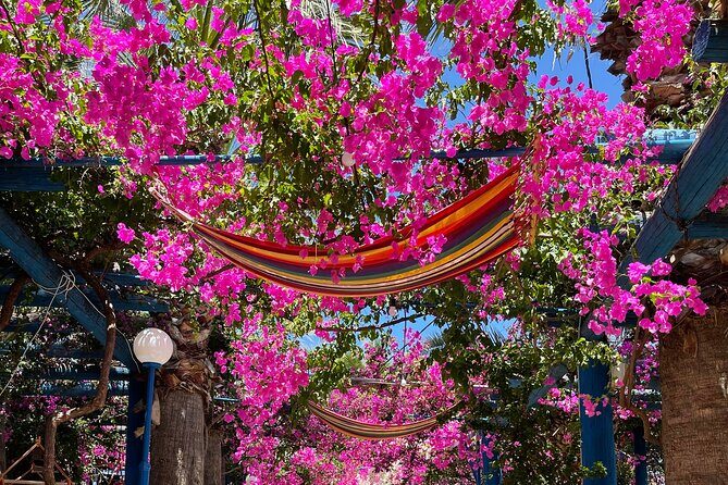 PRIVATE-South Crete-Matala Beach-Olive oil- Wine-Old Villages - Key Points