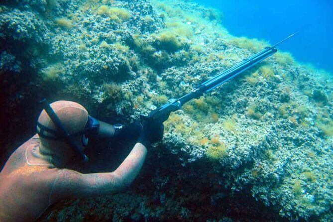 Private Spearfishing Trip From Athens - An Introduction to the Experience
