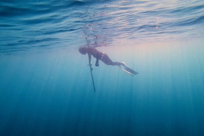 Private Spearfishing Trip From Athens - Who Will Love This Experience?