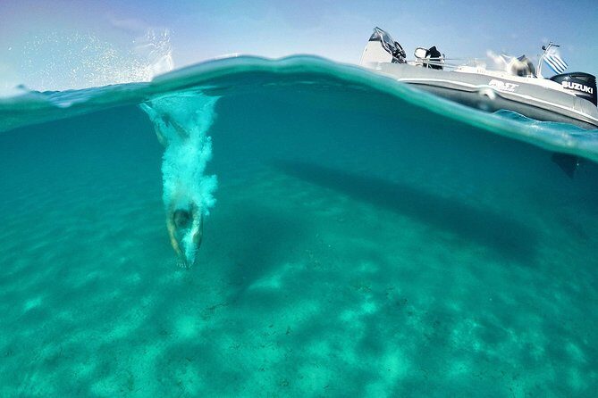 Private Speedboat Cruise from Delos to Rhenia and Mykonos - An In-Depth Look at the Itinerary and What You Can Expect