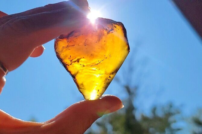 Private Spiritual and Scientific Vortex Tour - Breaking Down the Itinerary: What to Expect