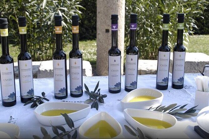 Private Split & Klis Fortress Tour, Olive Museum & Port Pickup - Who Should Consider This Tour?