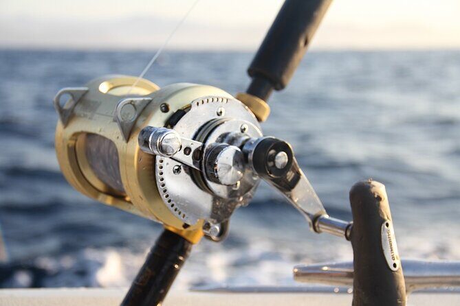 Private Sport Fishing Charter Experience in Cabo San Lucas (5 Hours) - The Sum Up