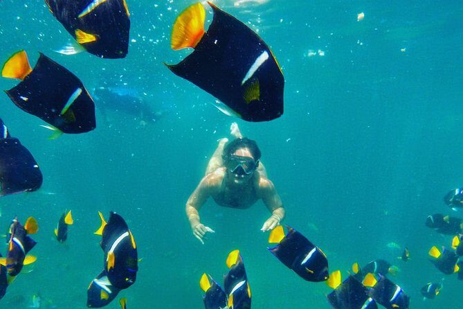 Private Stand Up Paddle Experience in Los Arcos Jalisco - The Itinerary and What to Expect