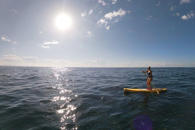Private Stand Up Paddle Tour in Câmara de Lobos - The Experience and Its Value