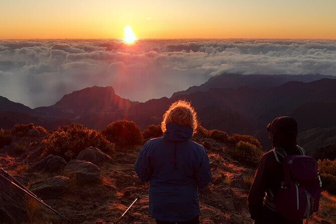 Private Sunrise Pico do Areeiro Half Day with easy levada walk - An In-Depth Look at the Tour Experience