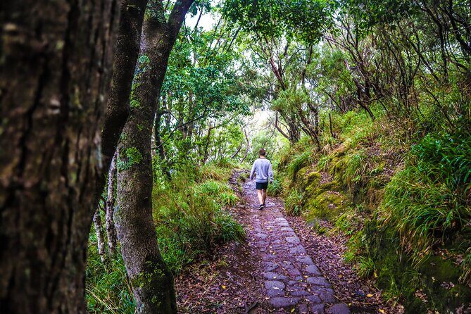 Private Sunrise Pico do Areeiro Half Day with easy levada walk - Practical Tips for Booking and Participation
