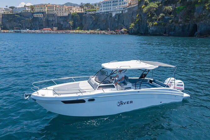 Private Sunset Cruise along Sorrento Coast - Who Should Book This Cruise?