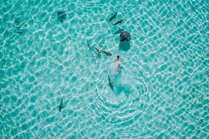 PRIVATE Sunset Tour: Moorea Snorkeling on a Catamaran named Taboo - The Sum Up
