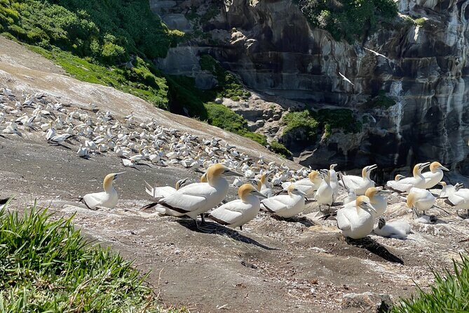 [PRIVATE] SUNSET. Wine. Hot Pool. Dinner - Who Will Love This Tour?