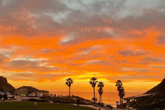 Private Surf Lesson Solana Beach Ride the Waves Fletcher Cove 2hr - Why Choose a Private Surf Lesson in Solana Beach?