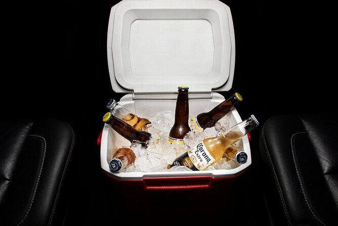 Private SUV Round-Trip from Airport to Cabo San Lucas Pacific - Final Thoughts