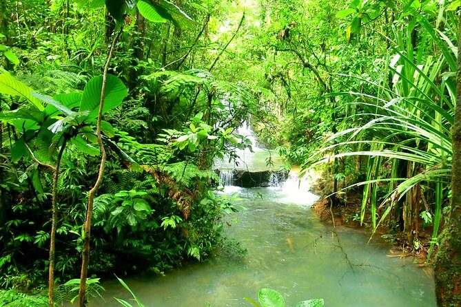 Private Suva Nature and Waterfall Tour - Additional Perks and Considerations