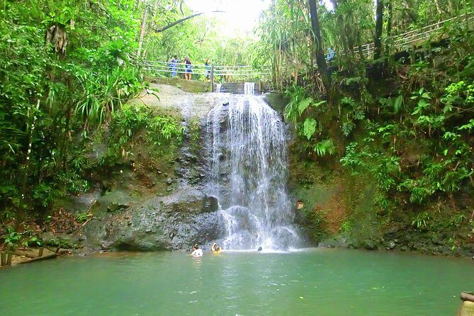 Private Suva Nature and Waterfall Tour - Overall Value and Who Will Love It