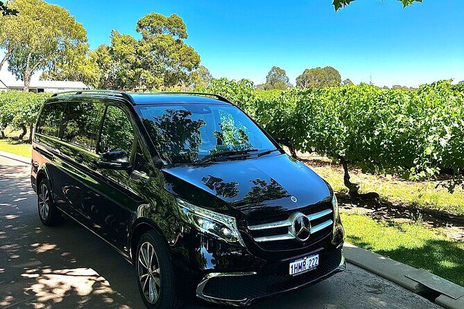 Private Swan Valley Luxury Tour Pick up metro area - Key Points