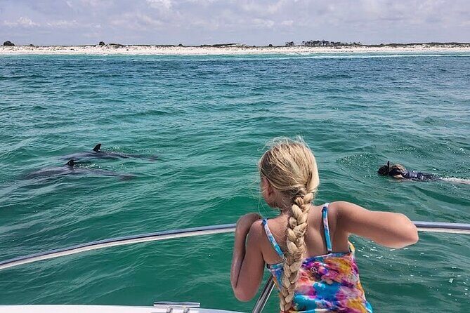 Private Swim with Dolphins And Snorkeling Tour - Key Points
